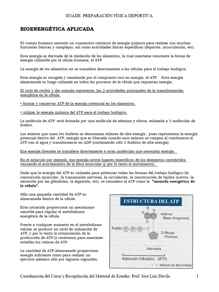 Bioenergética y Resíntesis de ATP | PDF | Trifosfato de adenosina ...
