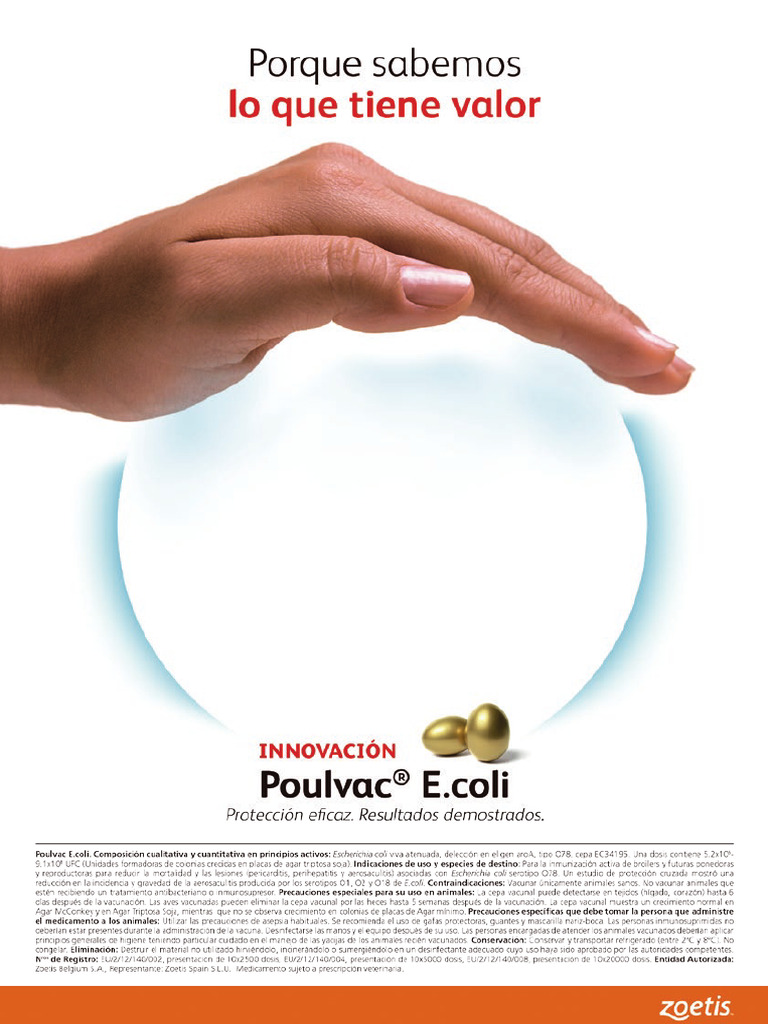 Control de Colibacilosis Aviar | PDF | Escherichia coli | Medicina CLINICA