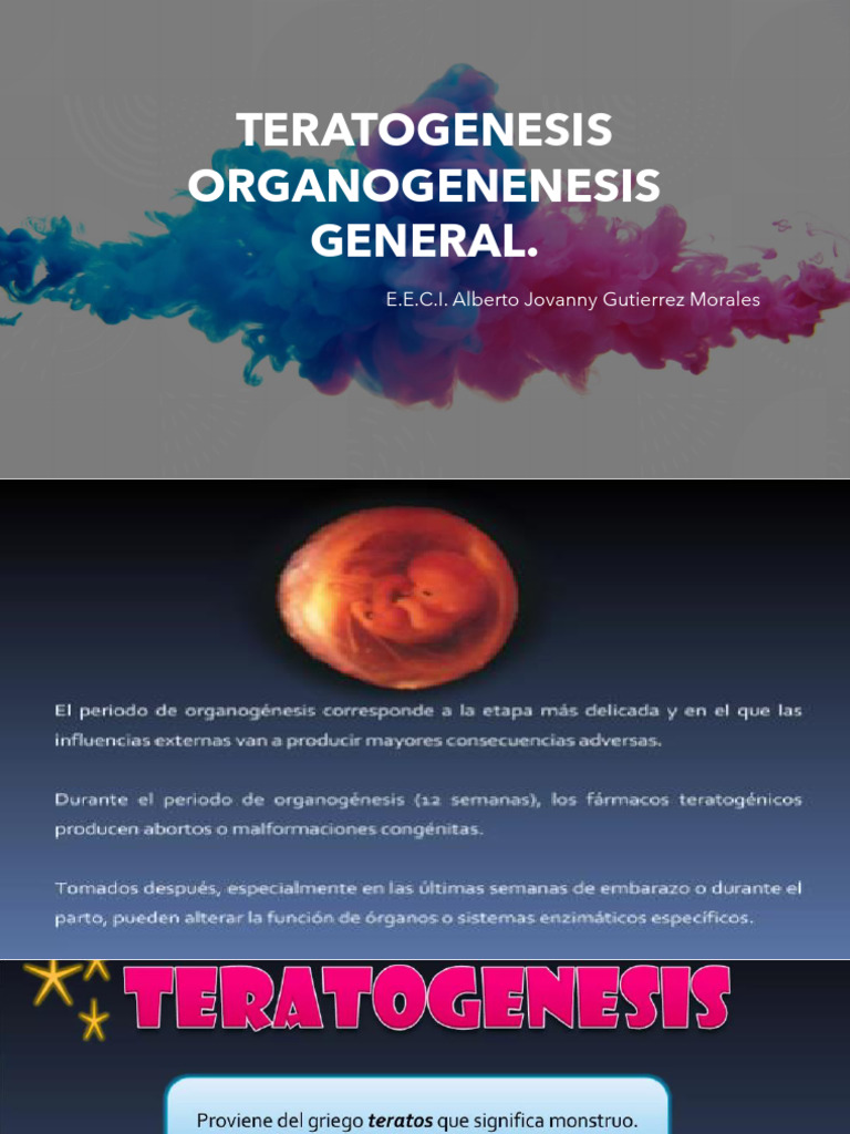 Teratogenesis Organogenesis | PDF | Vagina | Sistema reproductivo