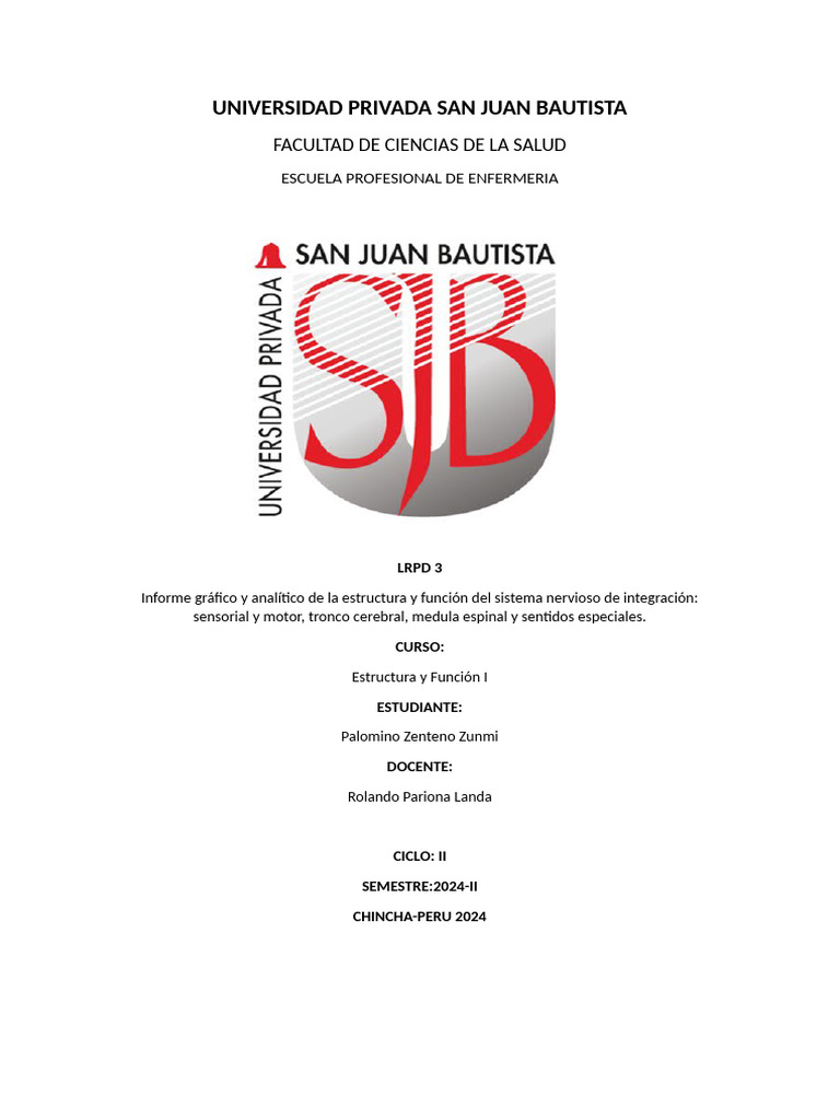 LRPD 3 Funda ZZZZZ | PDF | Cerebro | Sistema nervioso