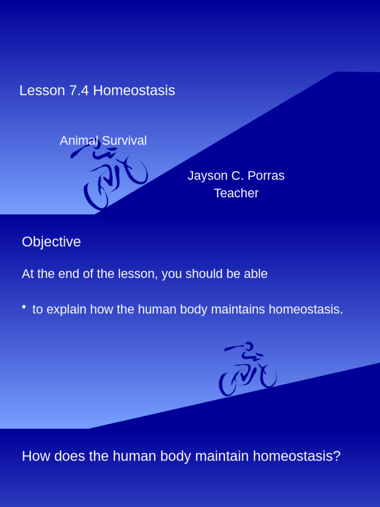 Lesson 7.4 Homeostasis | PDF | Homeostasis | Lactation