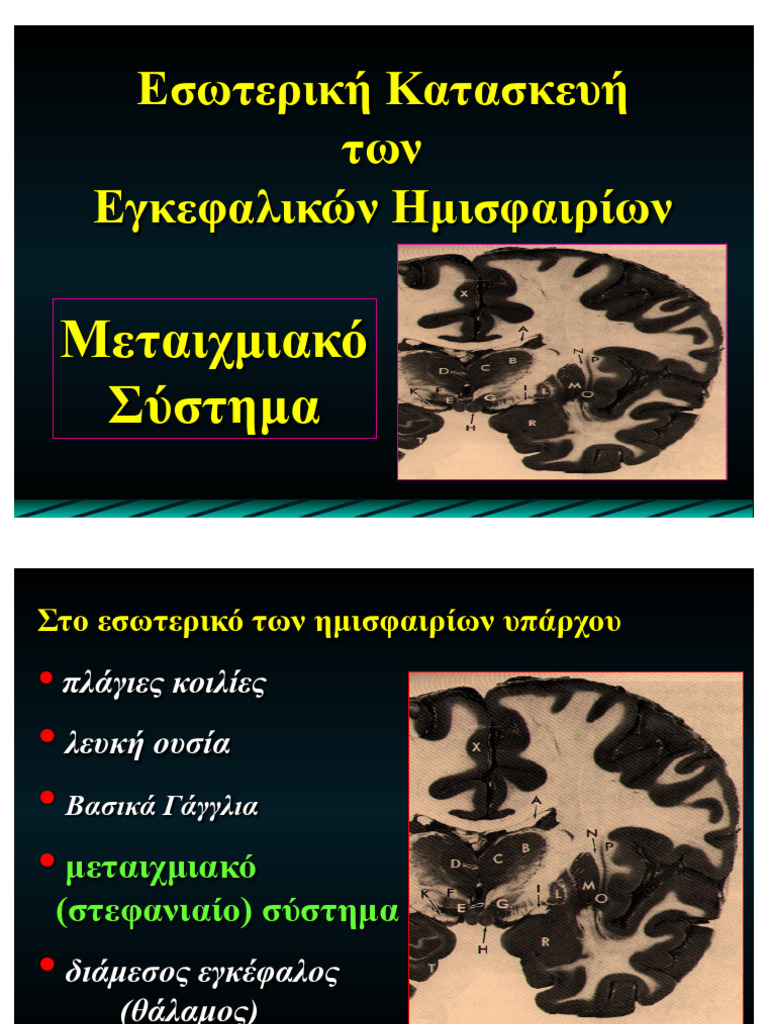 7 Μεταιχμιακο συστημα | PDF