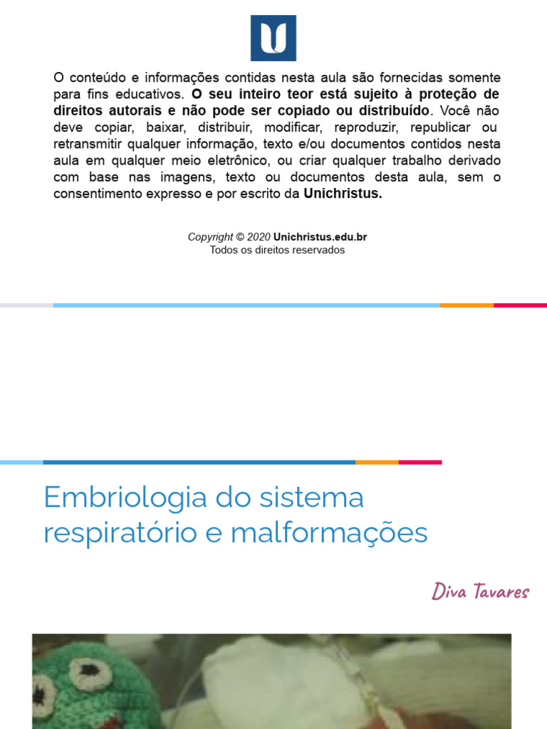 Embriologia Do Sistema Respiratã Rio e Malformaã Ã Es - DT | PDF ...
