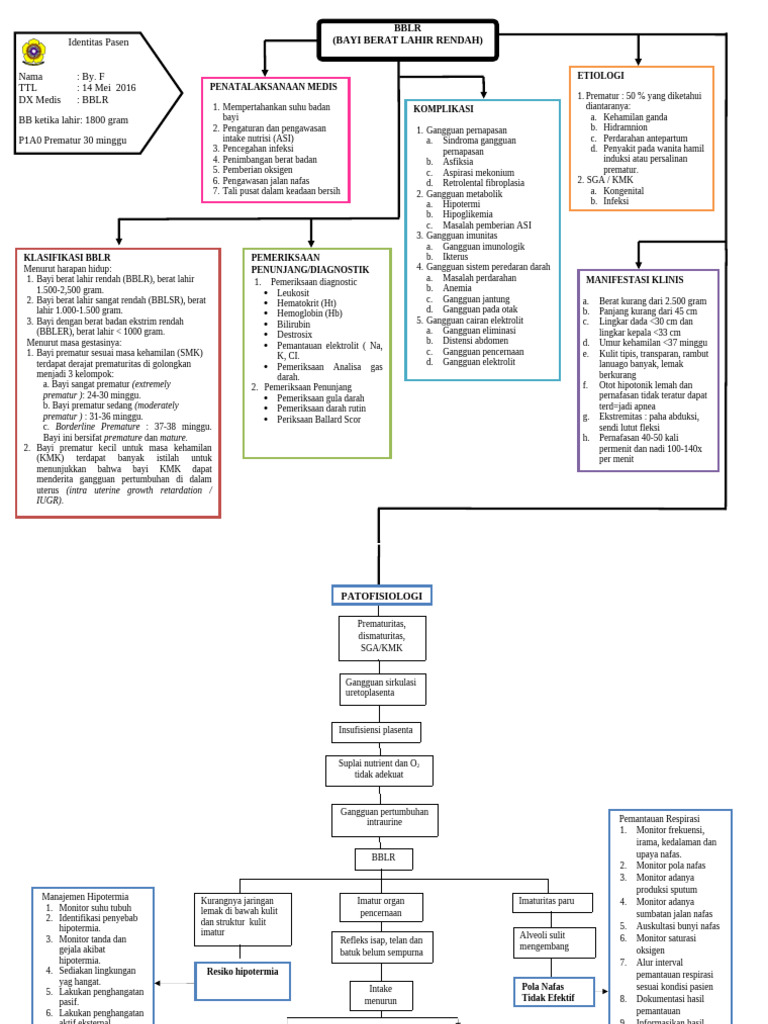 WOC WEB OF CAUTION BBLR Bayi Berat Lahir Rendah | PDF