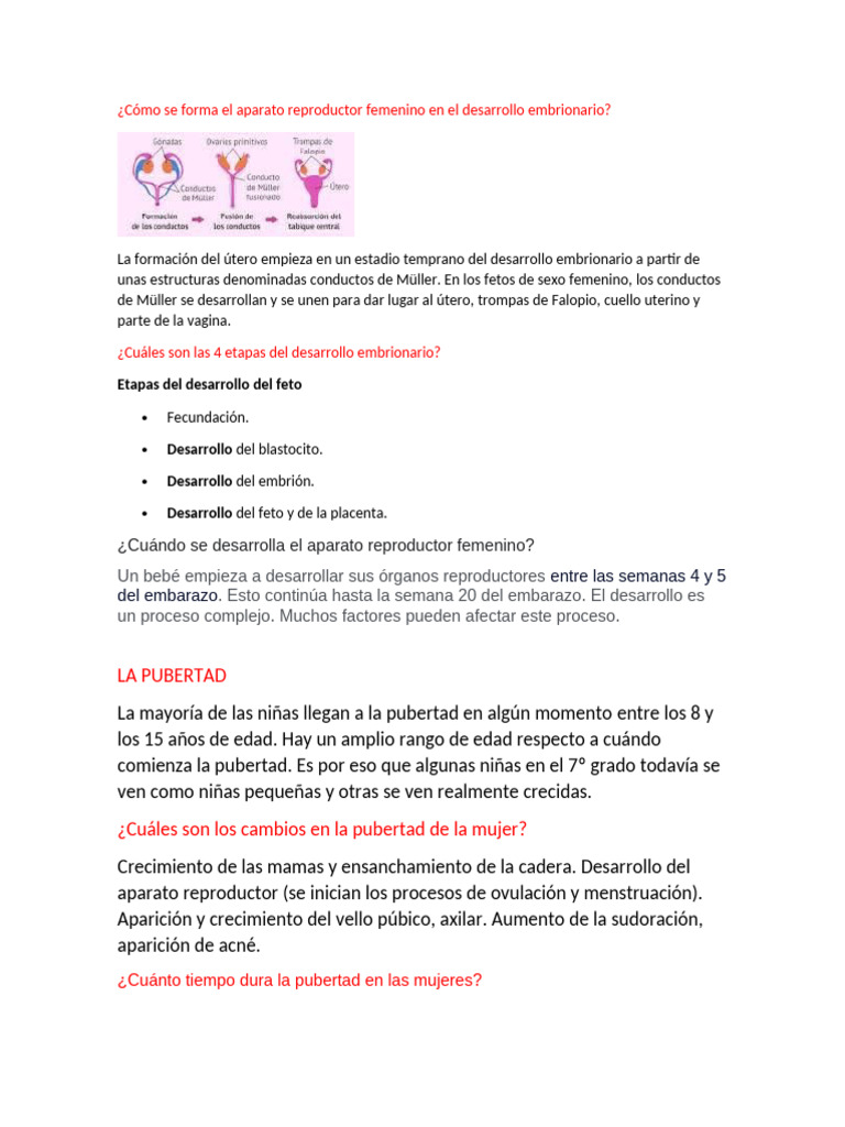 Cómo Se Forma El Aparato Reproductor Femenino en El Desarrollo ...
