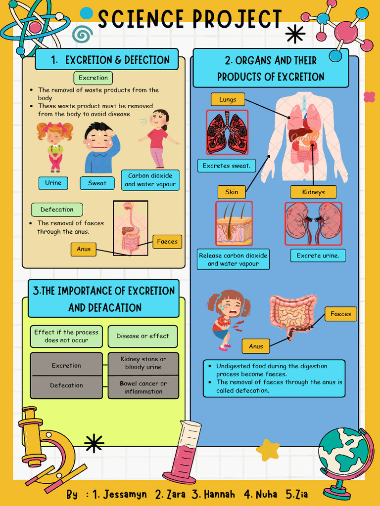 Science Project Jessamyn, Hannah, Nuha, Zara, Zia | PDF