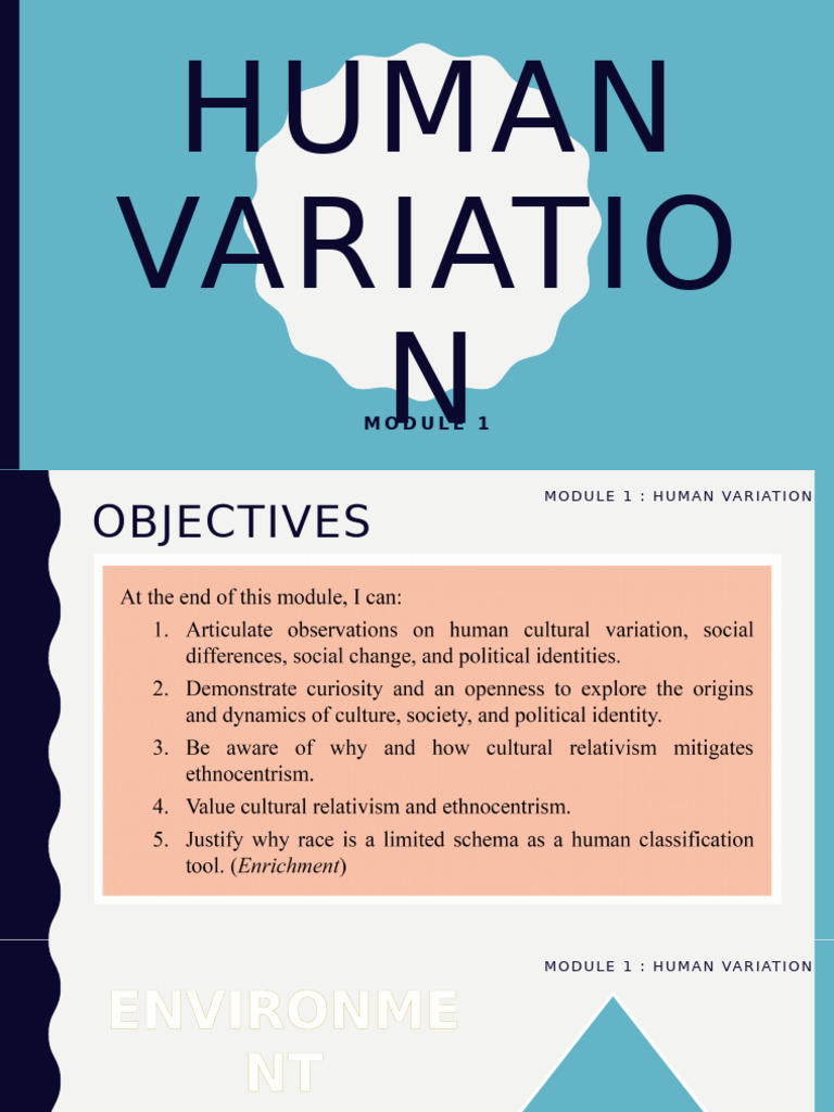 Human Variation: Culture, Identity & Diversity | PDF | Gender | Gender ...