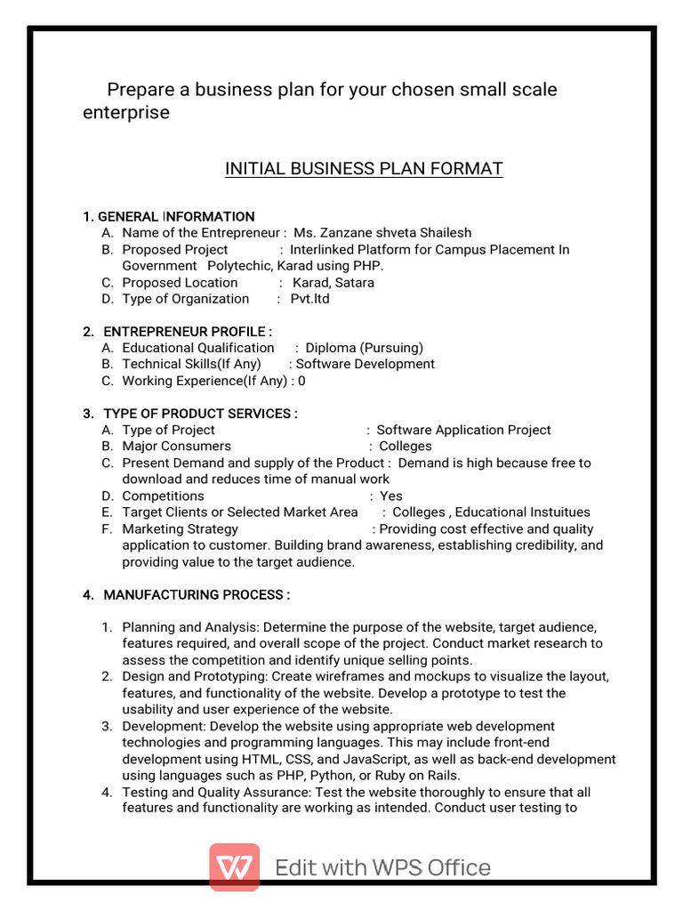 Business Plan Capstone | PDF | Web Development | Computing