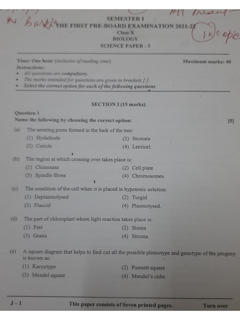 Pre Board Question Papers | PDF