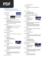 Knee Examination OSCE Checklist Geeky Medics | PDF | Knee | Joints