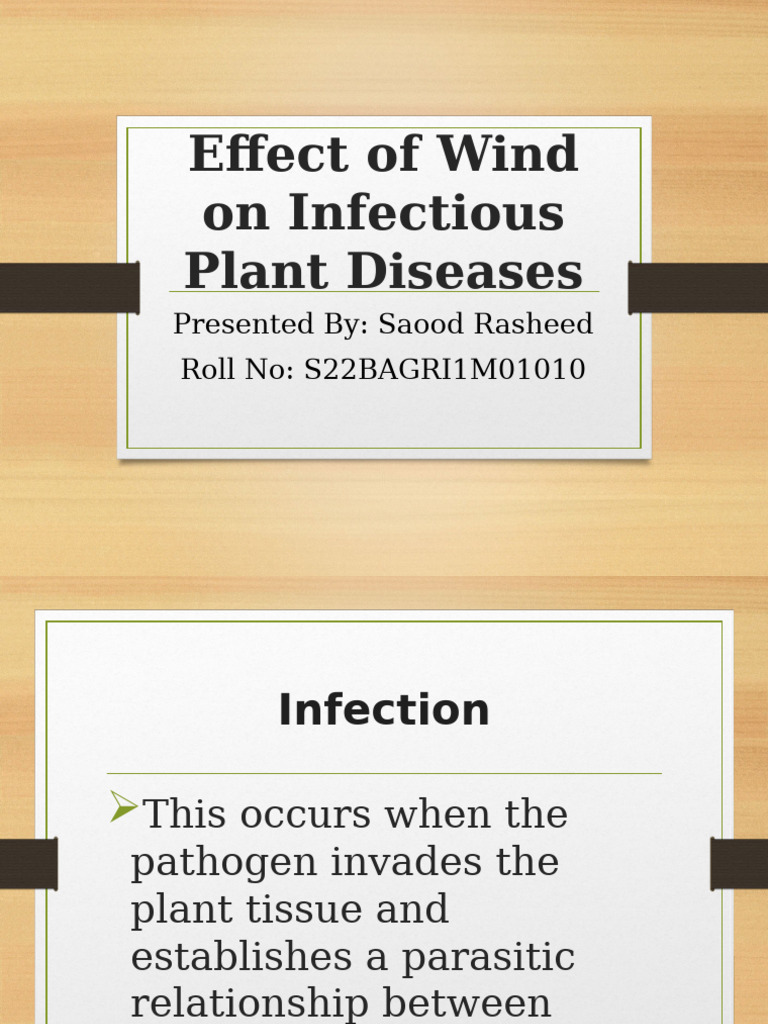 Effect of Wind On Plant Diseases | PDF | Pathogen | Fungus
