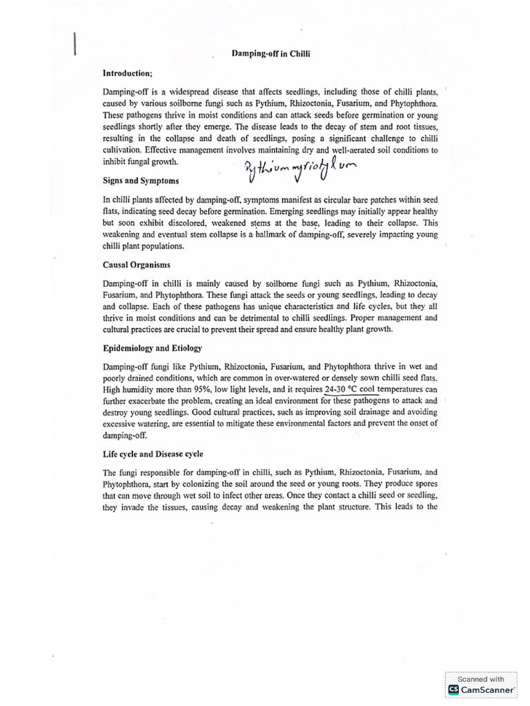 Damping Off in Chilli & Downy Mildew | PDF
