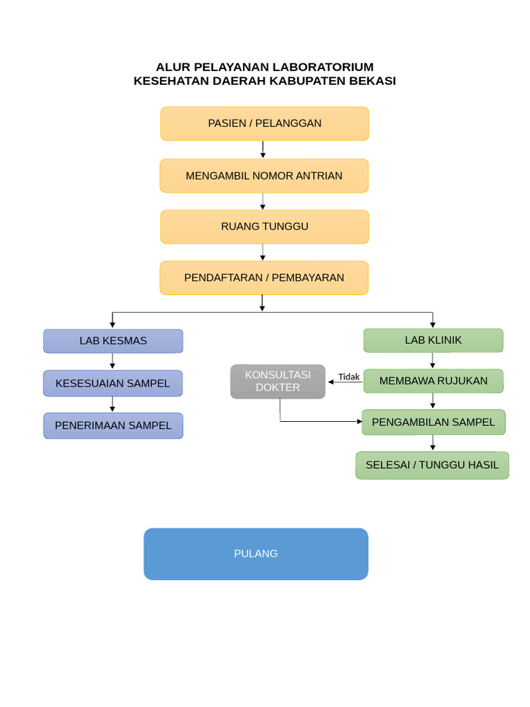 Alur Pelayanan Laboratorium | PDF