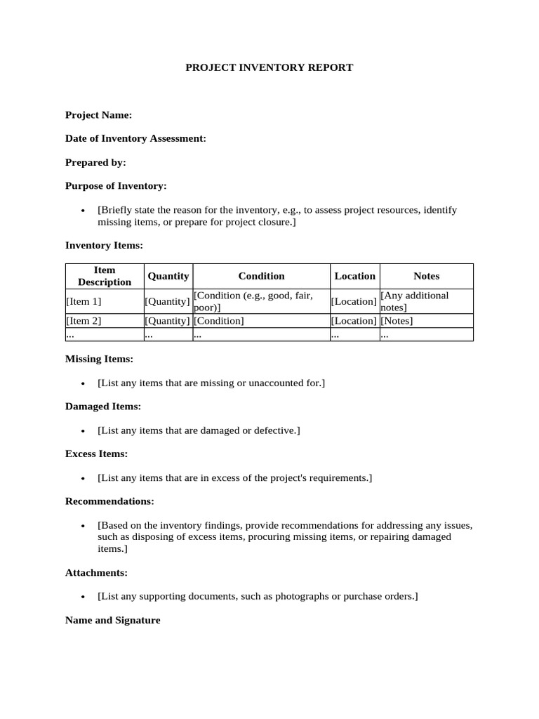 Project Inventory Report | PDF
