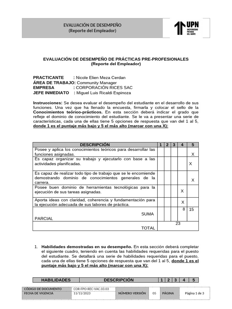 Formato Evaluacion de Desempeño de PPP 2023 | PDF