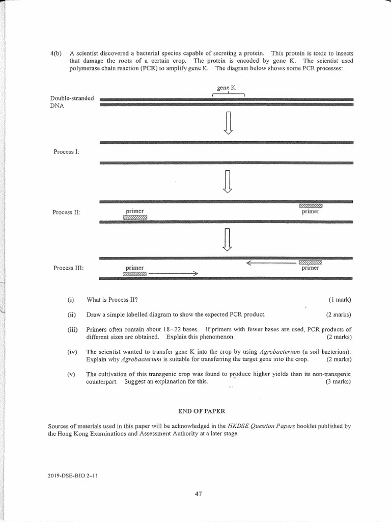 2019 B PCR | PDF