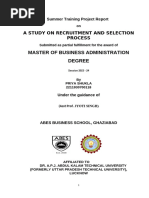 Summer Internship Report On HR Recruitment and Selection | PDF ...