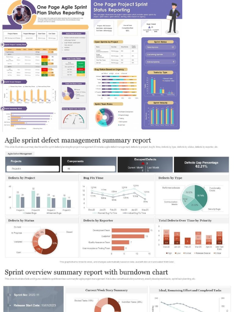 Sprint Summary Report | PDF
