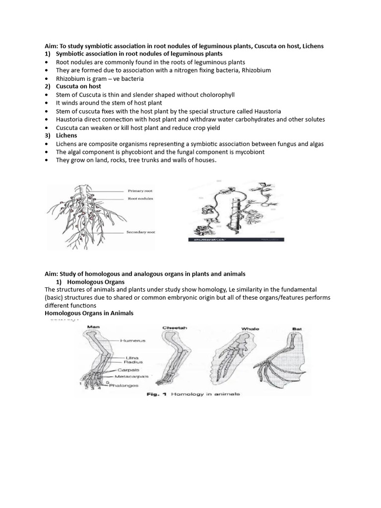 Biology Practical Spotting 2024-25 | PDF