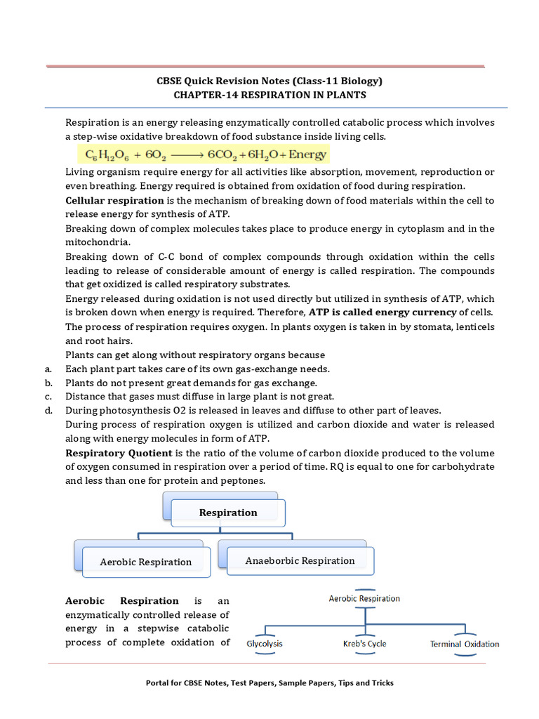 11 Biology Notes Ch14 Respiration in Plants | PDF | Glycolysis ...