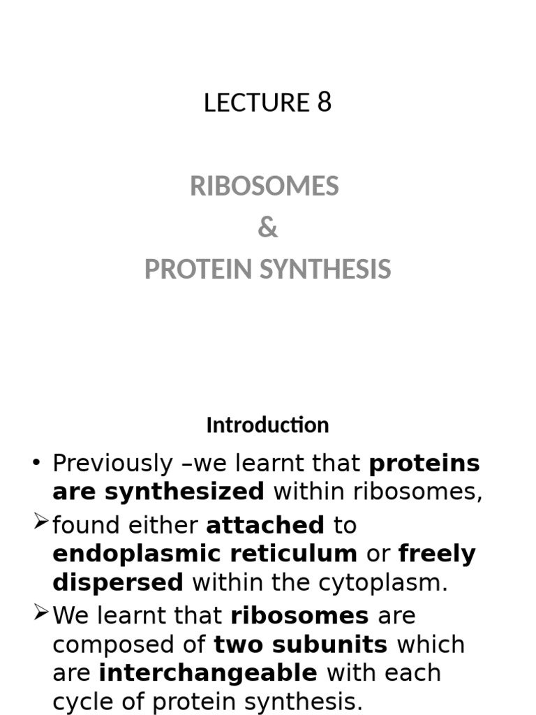 LECTURE 8 Ribosomes & Proteinsynthesis | PDF | Translation (Biology) | Ribosome