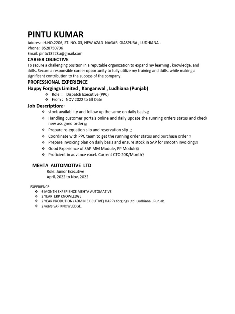 PPC Executive Resume of Pintu Kumar | PDF