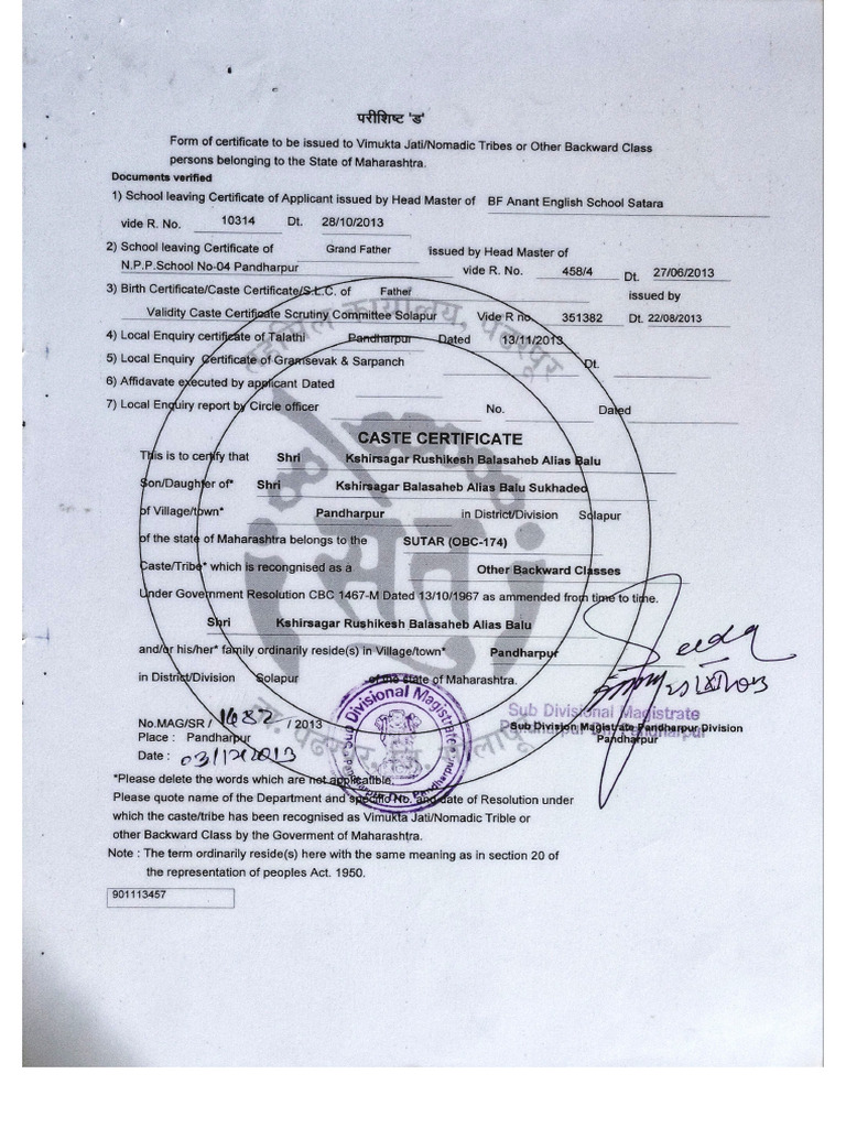 ACE Scanner - 2024 - 11 - 02 | PDF