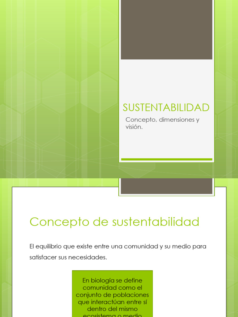 Sustentabilidad Concepto Dimensiones Vision | PDF | Sustentabilidad | Desarrollo sostenible