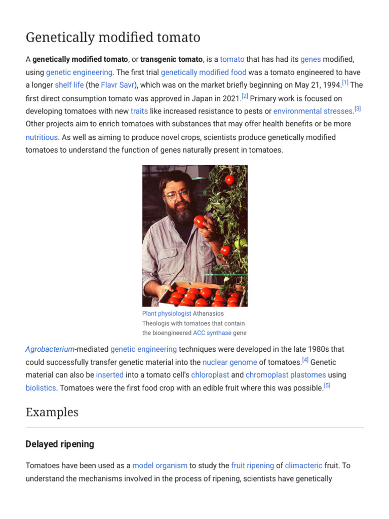 Genetically Modified Tomato - Wikipedia | PDF | Biotechnology | Biology