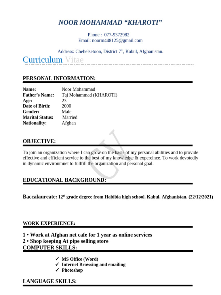 Noor Mohammad - CV | PDF