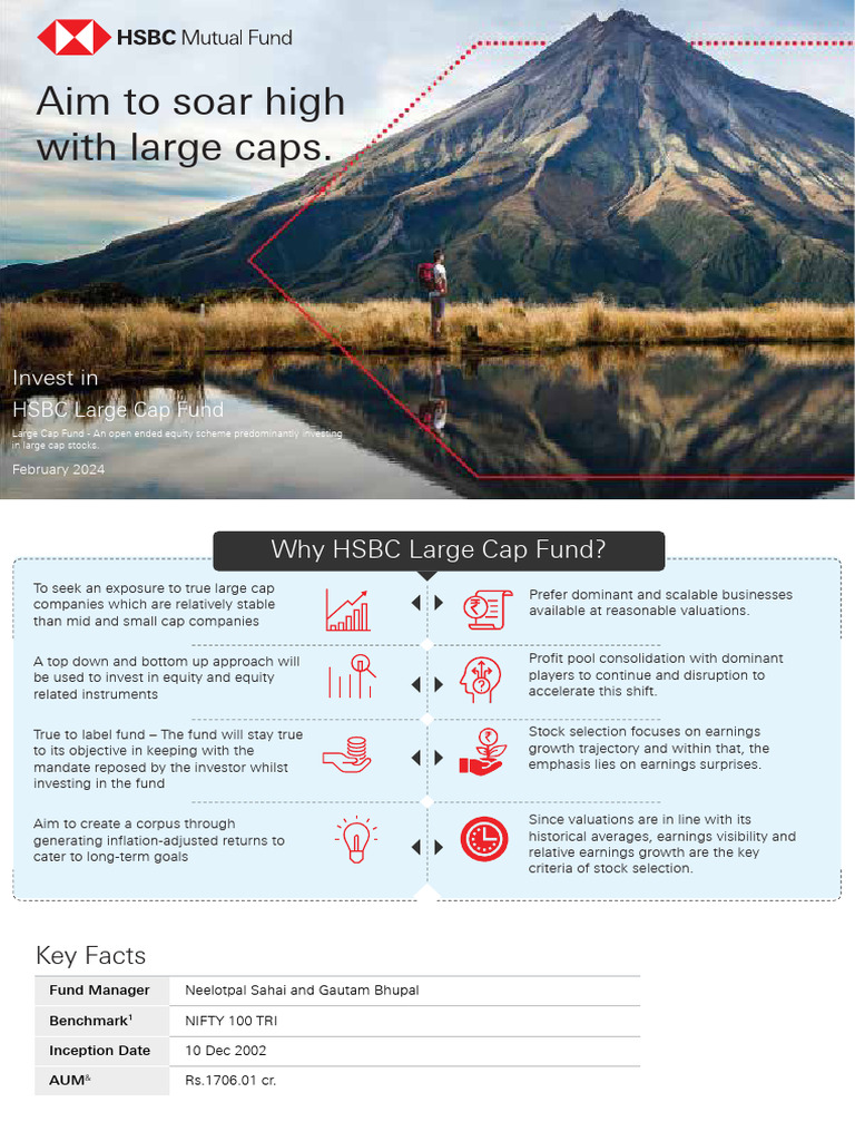 HSBC Large Cap Fund Overview and Performance | PDF | Investing | Stocks