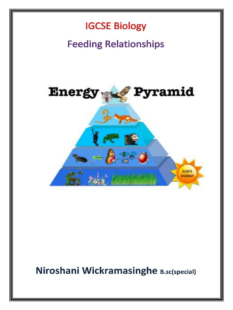 Feeding Relationship | PDF | Biomass (Ecology)