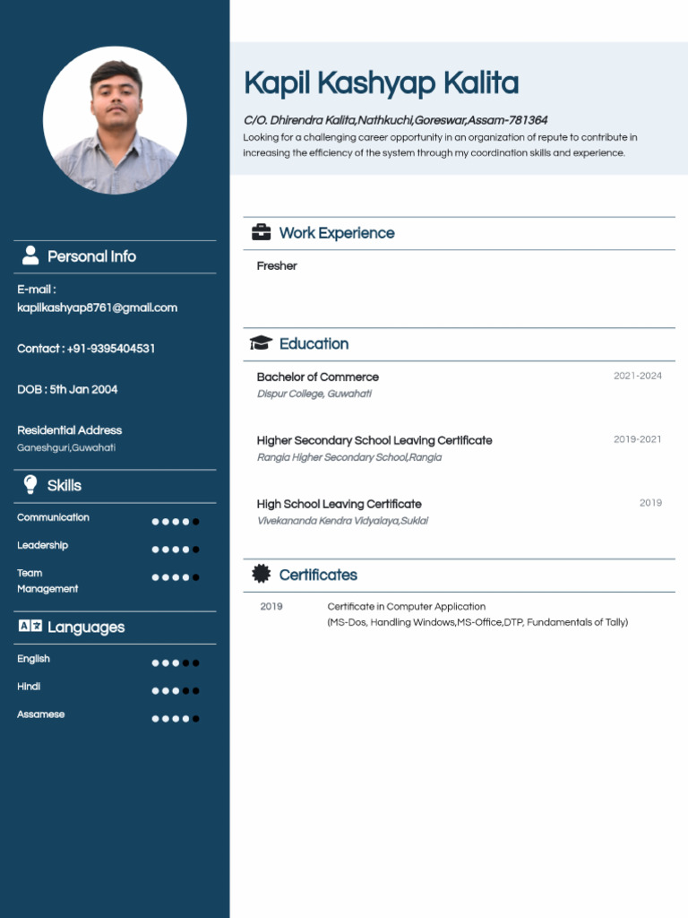 CV - Letter | PDF