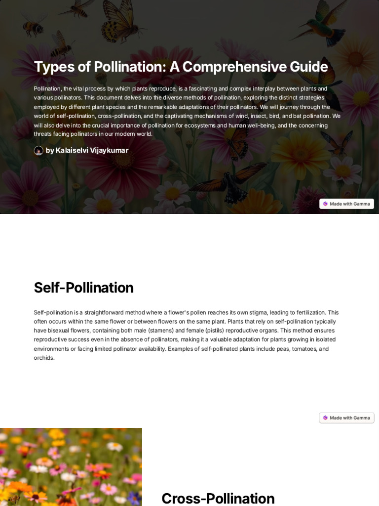 Outbreeding Devices A Comprehensive Guide | PDF | Pollination | Flowers