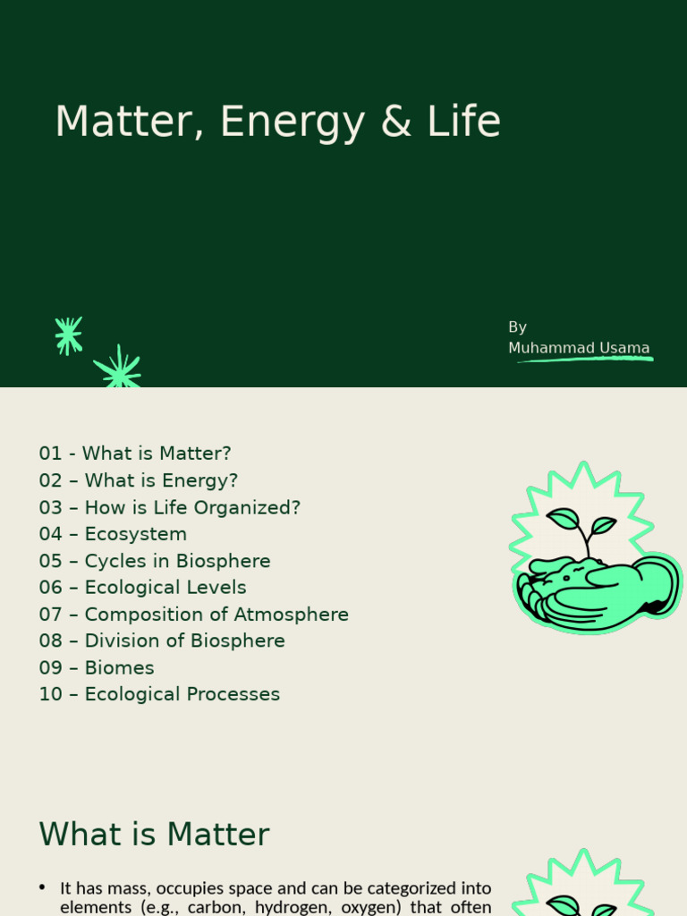 Lecture 02 Matter Energy and Life 25092024 020608pm | PDF | Food Web ...