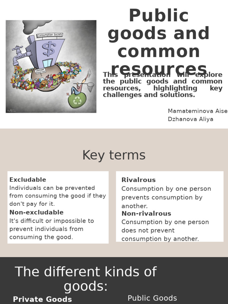 Public Goods and Common Resources 2 | PDF | Goods | Poverty