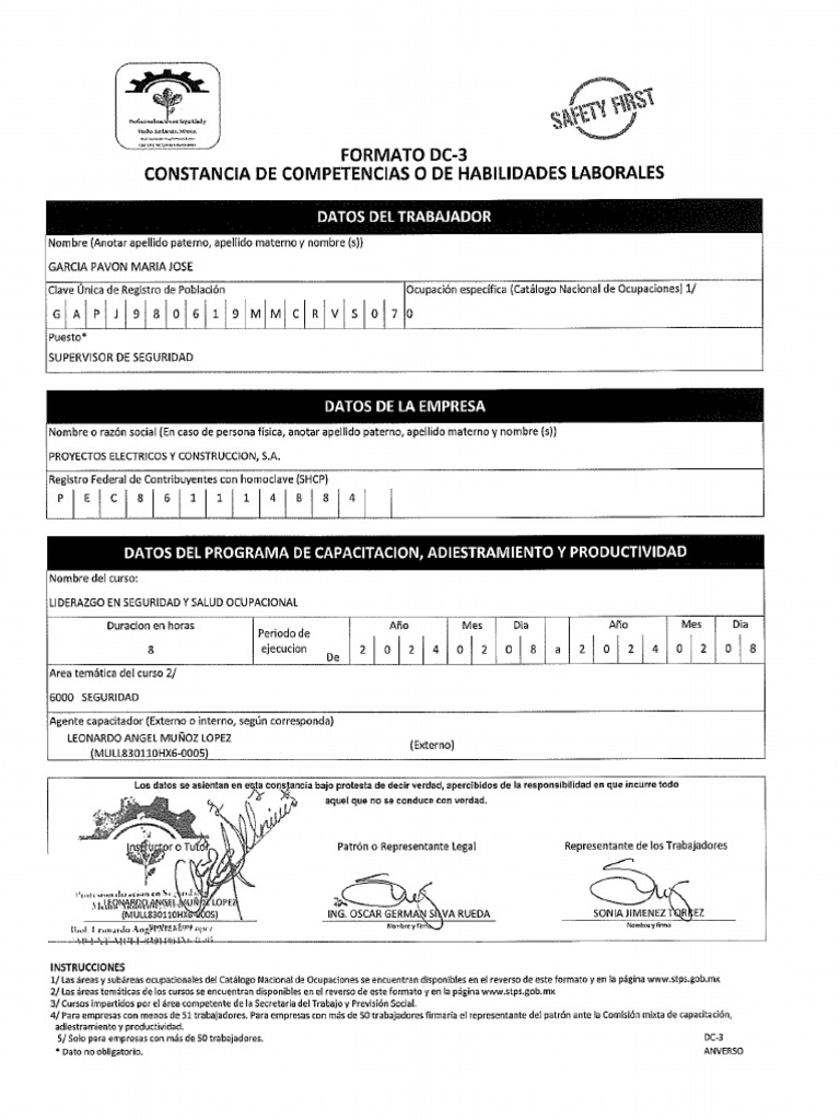 Dc3 Lid. Seg. Salud Ocup. | PDF