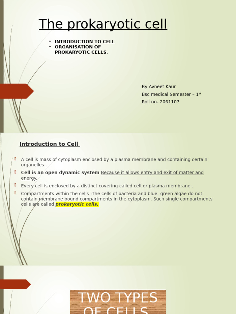 CELL | PDF | Cell (Biology) | Cytoplasm