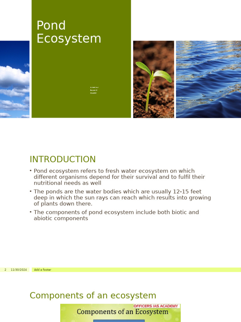 Ecosystem BSC 5 Sem Botany | PDF | Pond | Aquatic Ecosystem