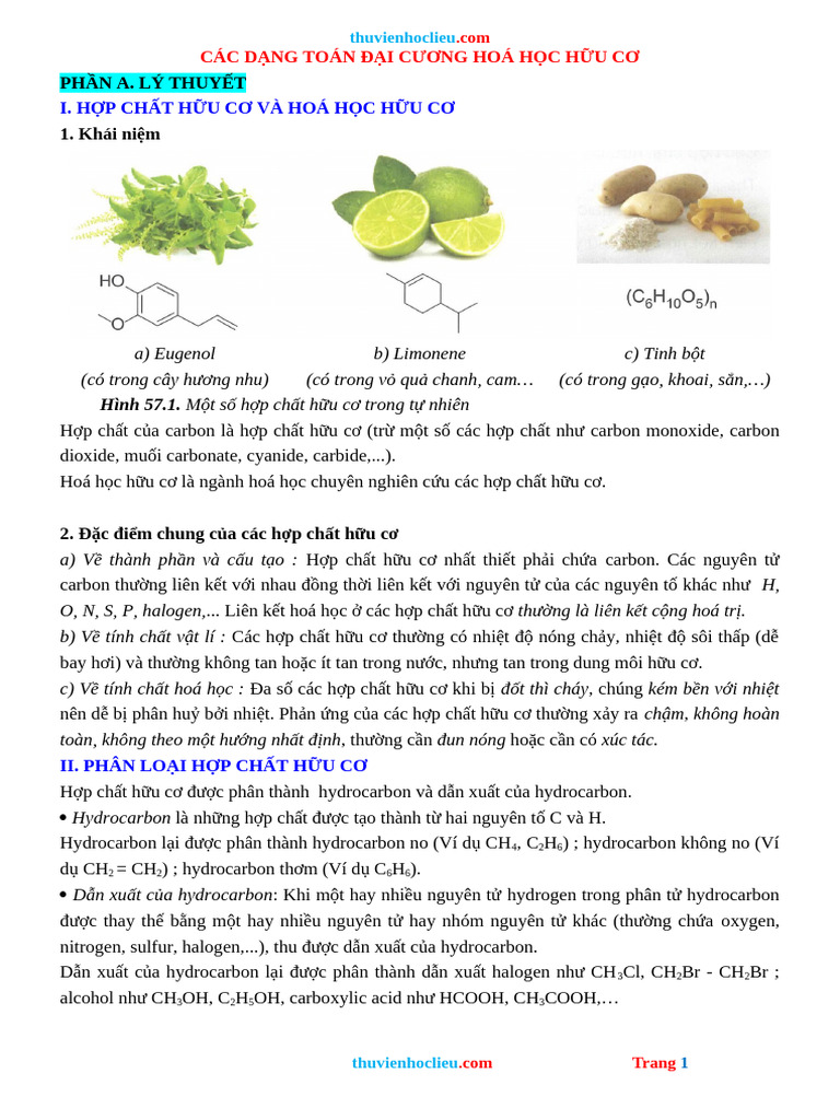 Chuyen de 31 Cac Dang Toan Dai Cuong Hoa Huu Co | PDF
