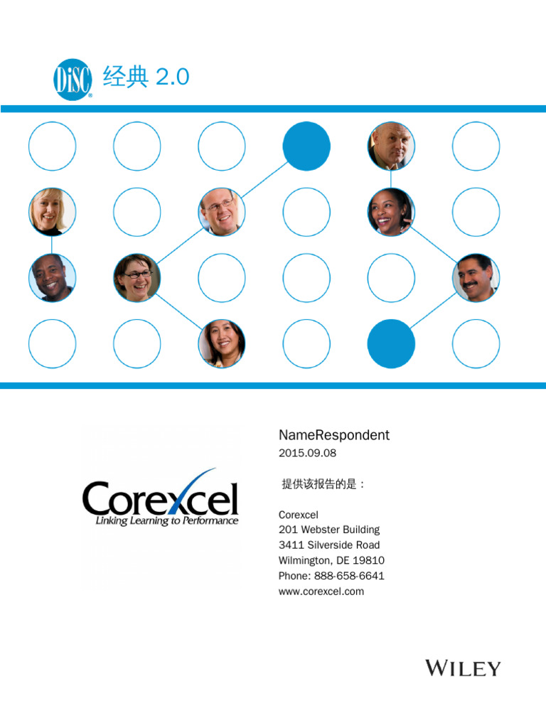 Disc Profile Chinese Sample Report | PDF