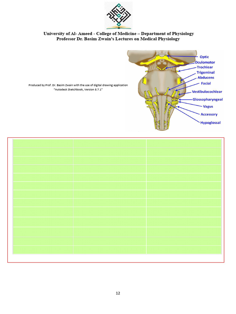 Nervous System-Lec.4 | PDF | Central Nervous System | Cerebral Hemisphere Nervous System-Lec.4 | PDF | Central Nervous System | Cerebral Hemisphere