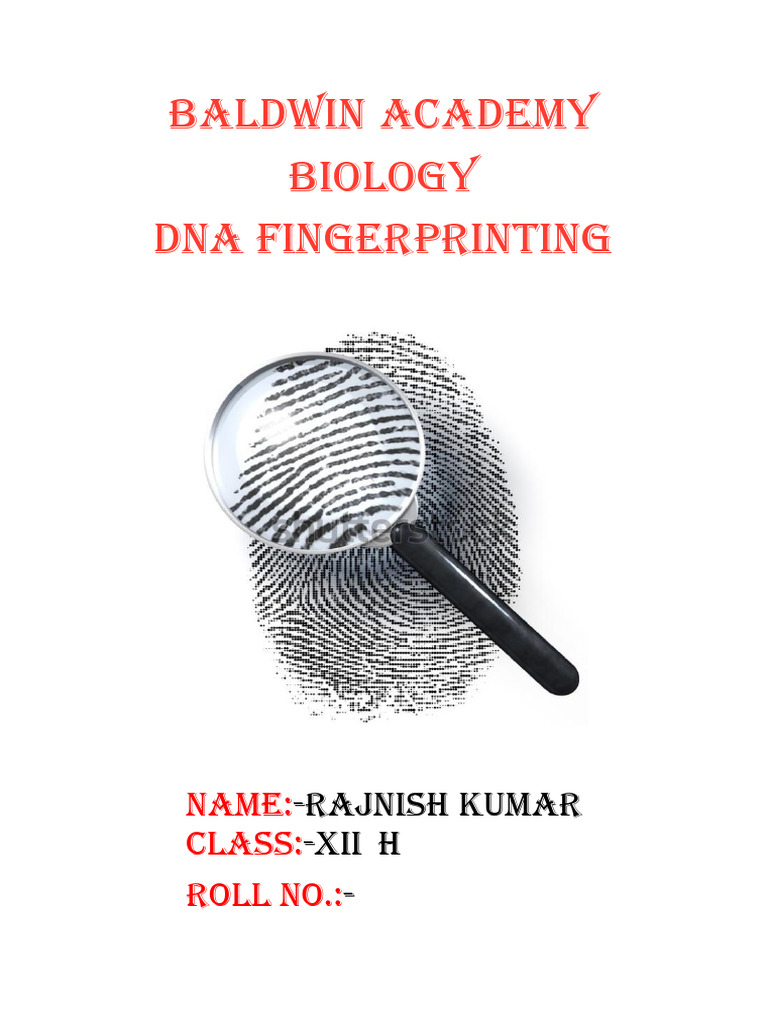Dna Fingerprinting Bio Project | PDF | Dna Profiling | Single ...