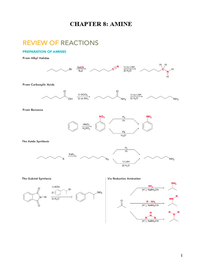 Chapter 8 - AMINE Homework | PDF