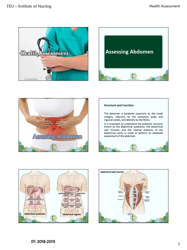 7HA Abdomen | PDF | Abdomen | Vein