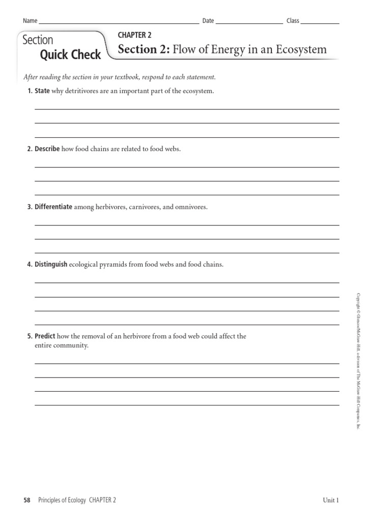 WS Energy Flow Ecosystems | PDF