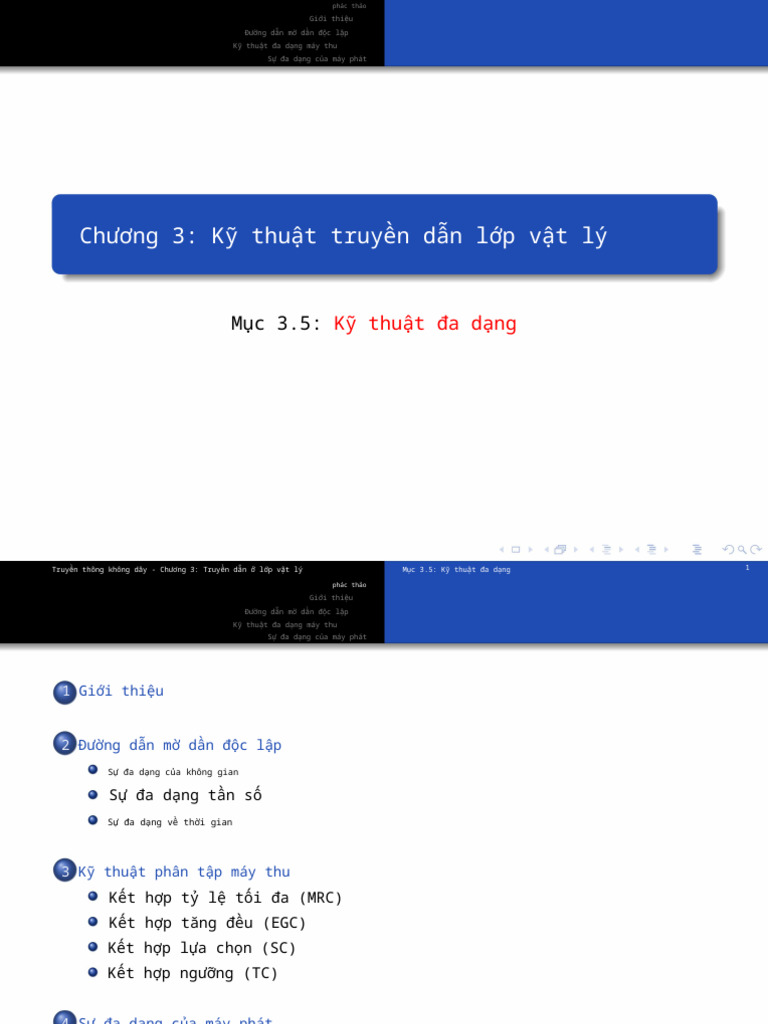 Section 3 2 Diversity Upload | PDF