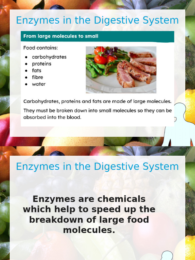 Enzymes | PDF