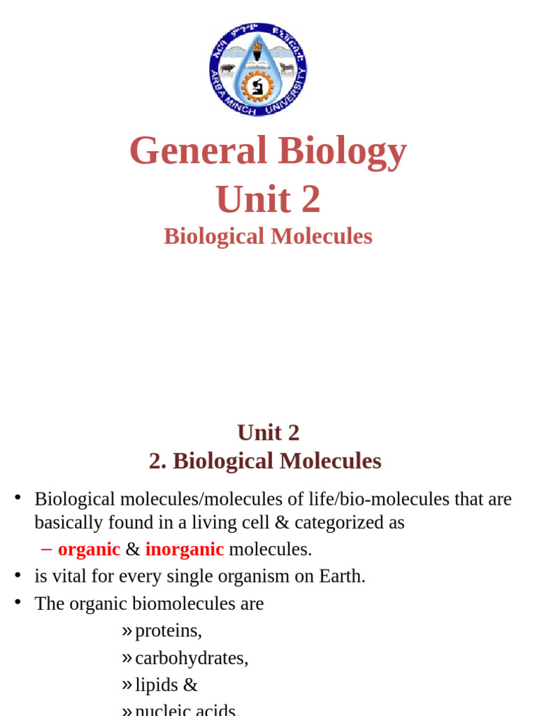 Unit 2 Biological Molecules | PDF | Carbohydrates | Lipid