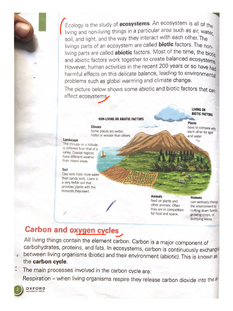 Chapter 1 Book | PDF